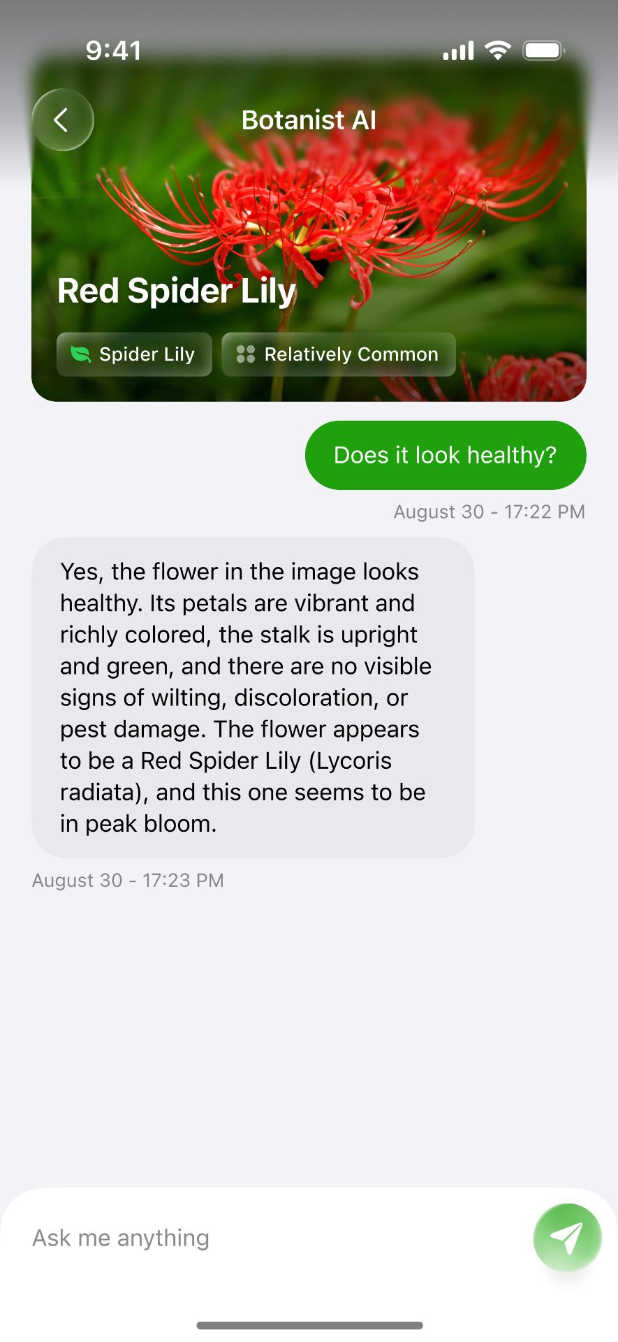 Plants AI - AI Plant Identification & Care Guide App | 99.5% Accuracy