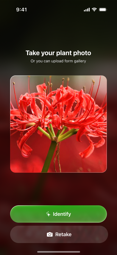 Plants AI - AI Plant Identification & Care Guide App | 99.5% Accuracy