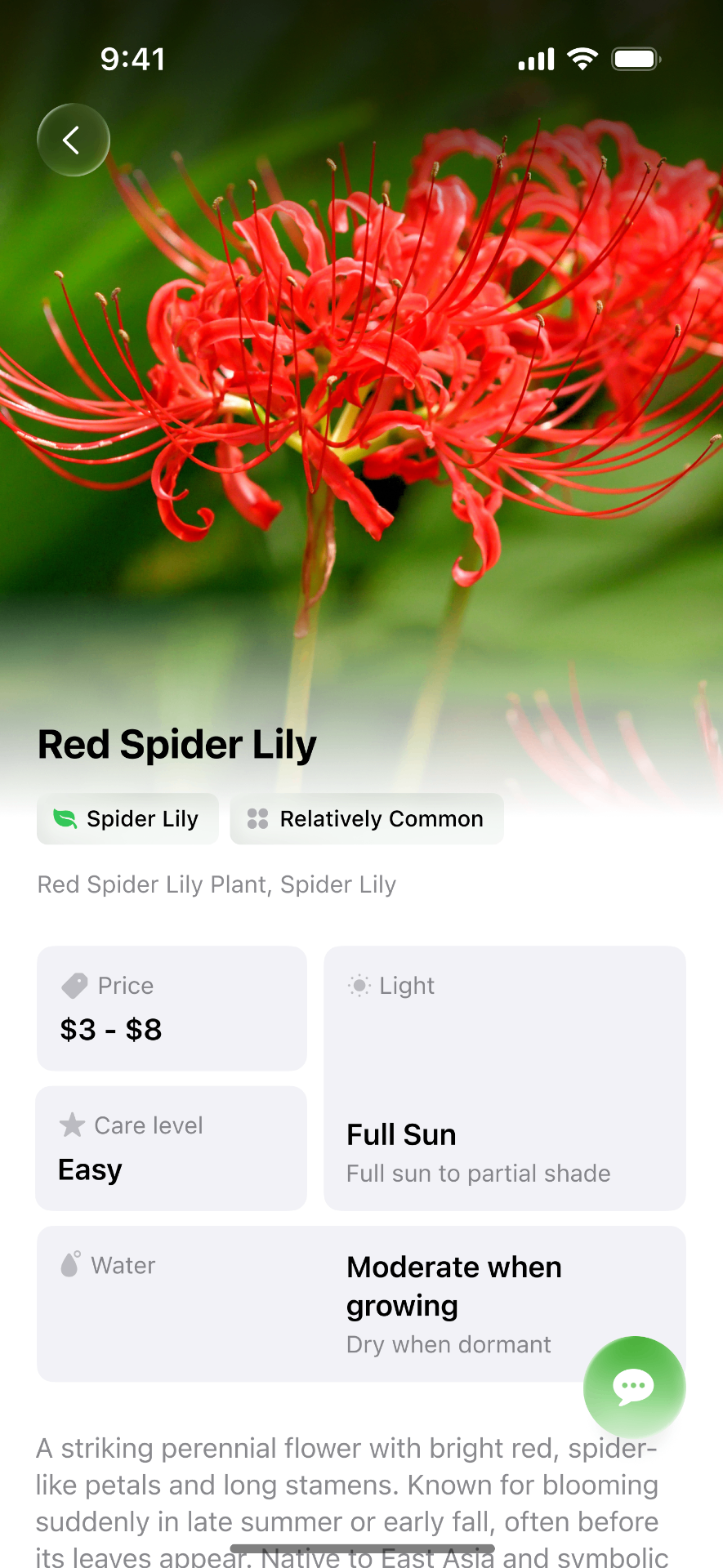 Plants AI - AI Plant Identification & Care Guide App | 99.5% Accuracy